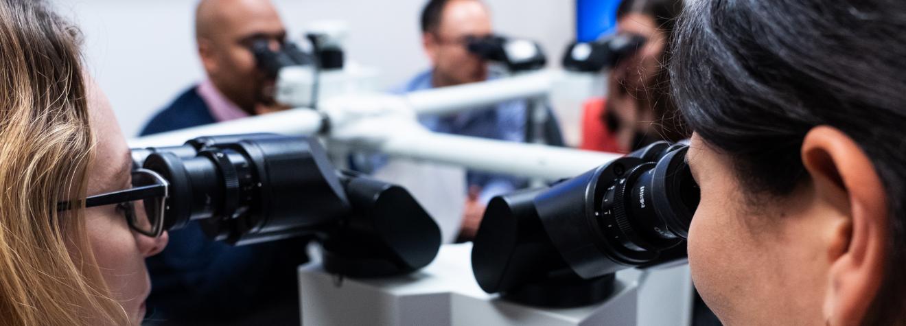 Continuing Education | UCSF Pathology